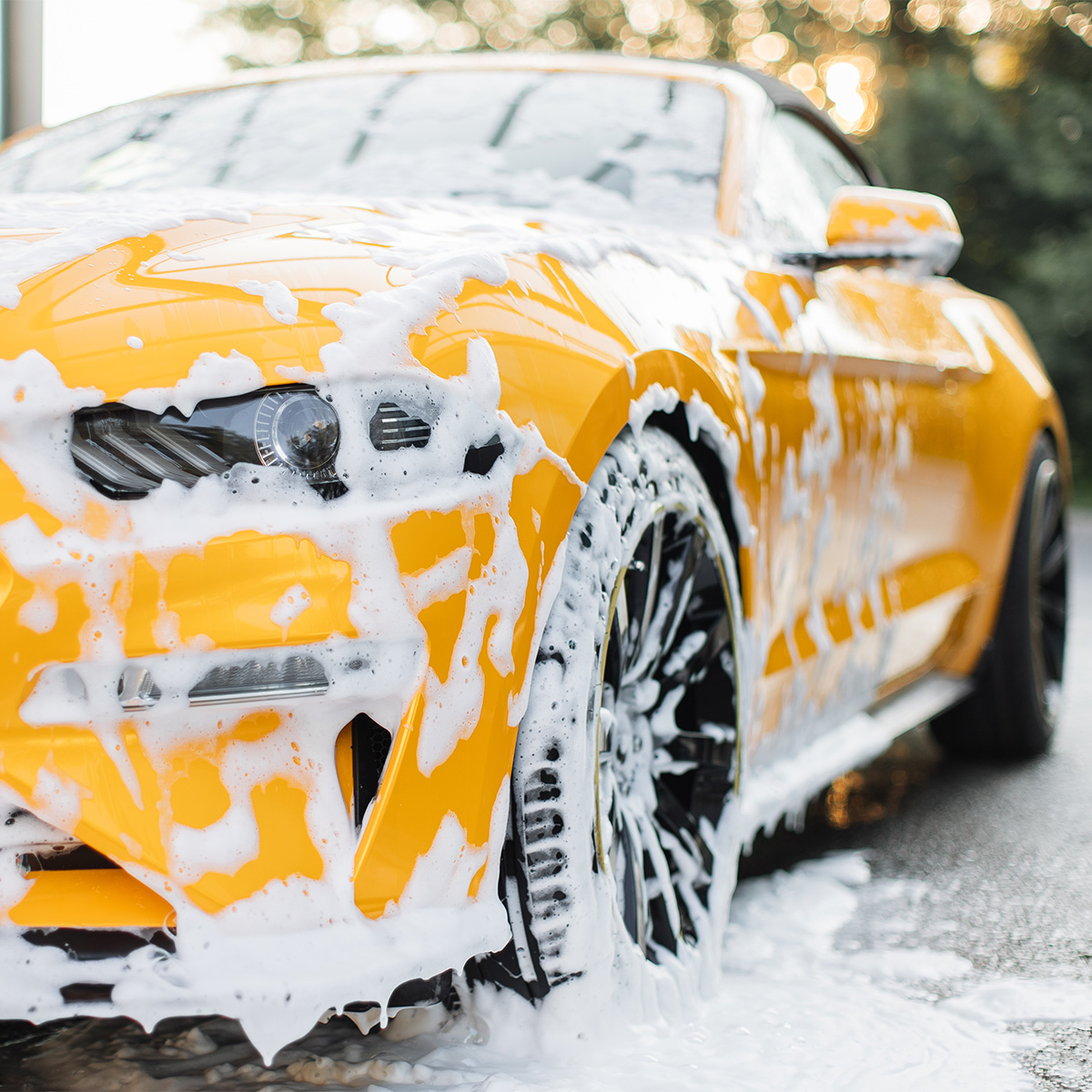 Car Detailing Service | Park Place Auto Salon in Bellevue WA